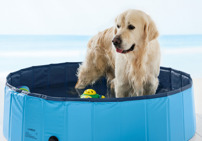 Treat your pooch to a doggy paddling pool in Lidl this week | SHEmazing!