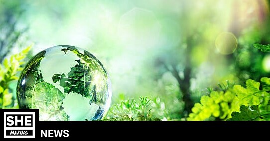 Top 5 steps to live a more environmentally conscious life | SHEmazing!